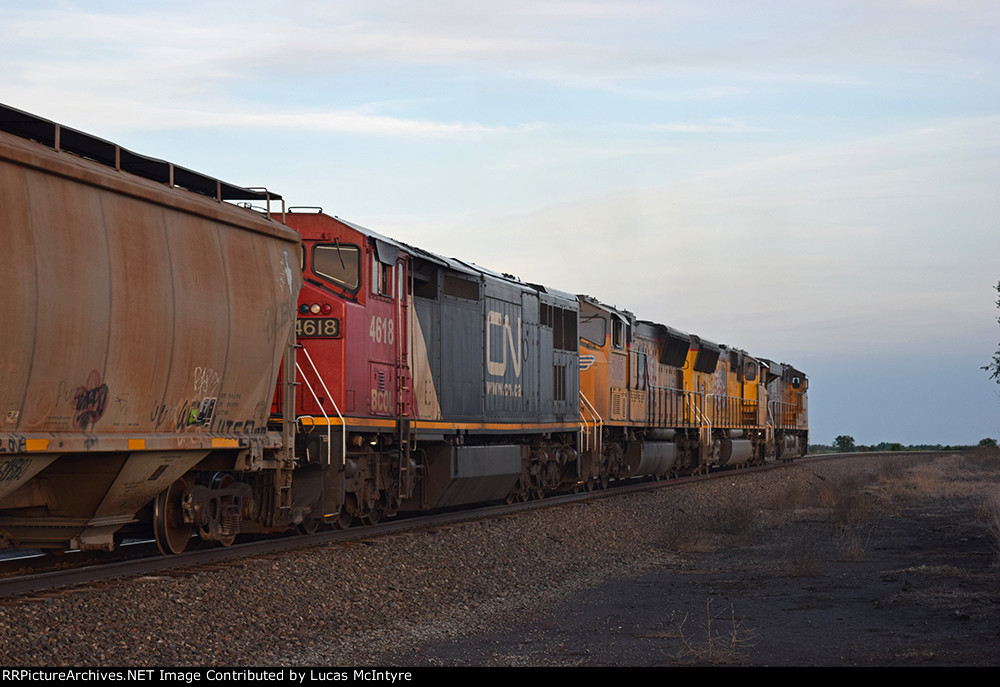 BCOL 4618 on eastbound UP loaded grain train